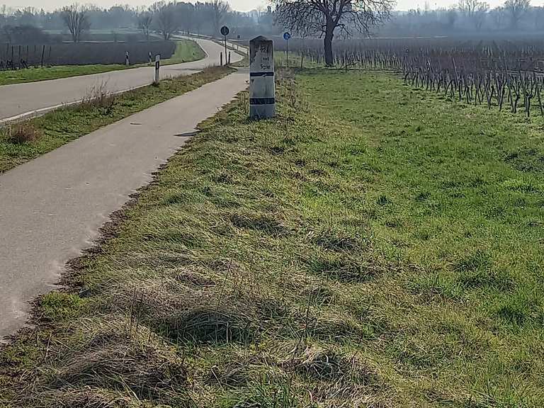 Hirstor. Kilometerstein Gönnheim : Radtouren und Radwege | komoot