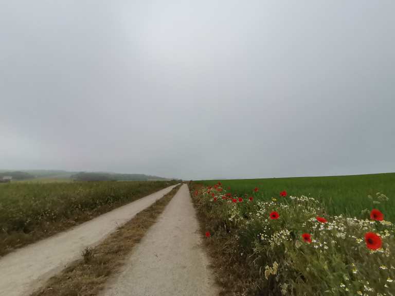 Piste cyclable rurale de Tardinghen - Itinéraires vélo et carte | Komoot