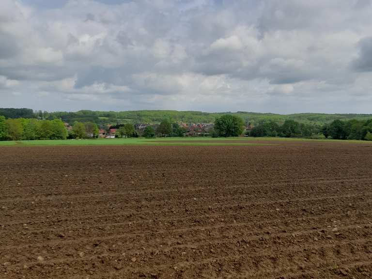 Afdaling met uitzicht op Gelrode: MTB-routes en trails | Komoot