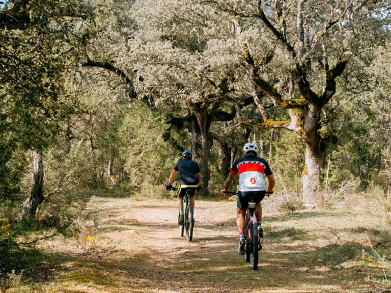 Sendero de las Grandes Encinas (PRC-BU 121) — percurso circular a partir de Solarana | caminhada ...