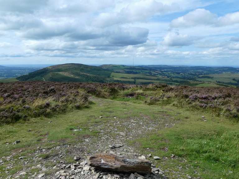 Moel Arthur Routes for Walking and Hiking | Komoot