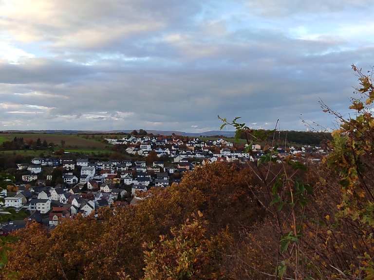 Naturschutzgebiet Kellerberg: Wanderungen und Rundwege | komoot