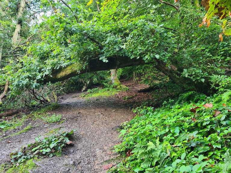 Forest Glen car park (start of the Wrekin Trail) Routes for Walking and ...