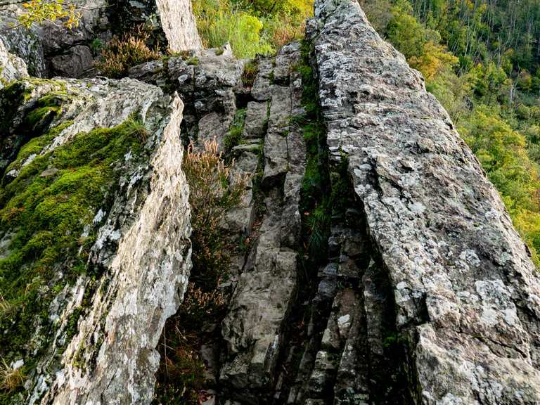 Blick auf die Mäander der Ourthe vom Le Hérou: Wanderungen und Rundwege ...