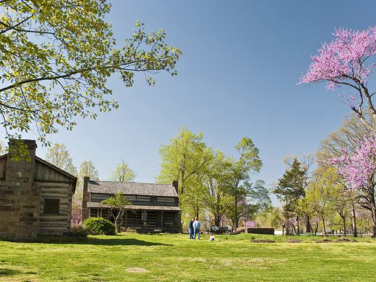 Historic Latta Plantation, Buzzard Rock, and the Carolina Raptor Center ...