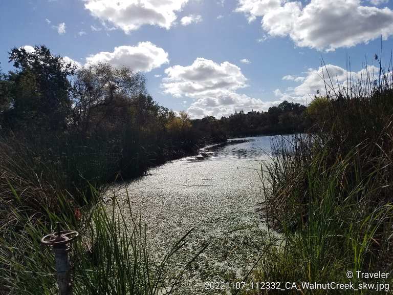 Heather Farm Park Lake Road Cycle Routes and Map | Komoot