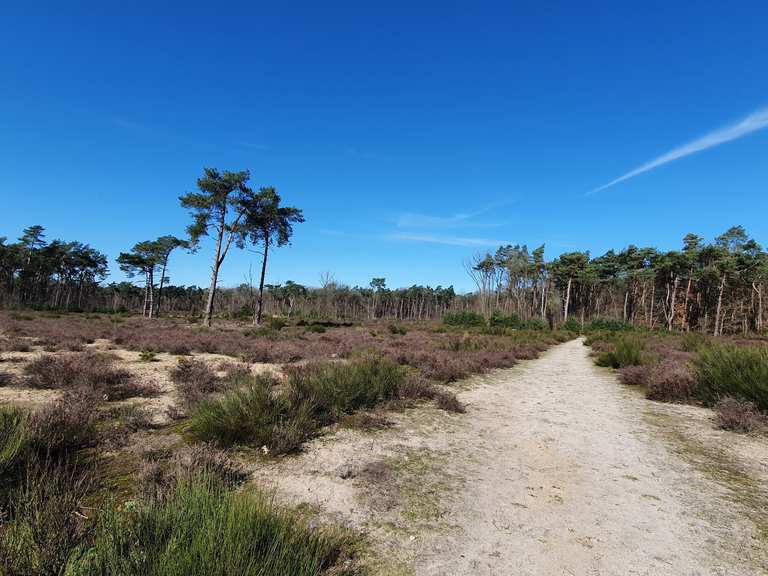 Het Hertogenpad in 12 wandelingen: ontdek groen en gastvrij Brabant | Wandel Collectie van komoot