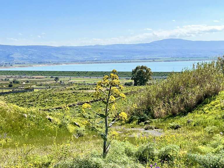 Lago di Lentini desde Carlentini - ruta en circuito | Paseo en bici ...