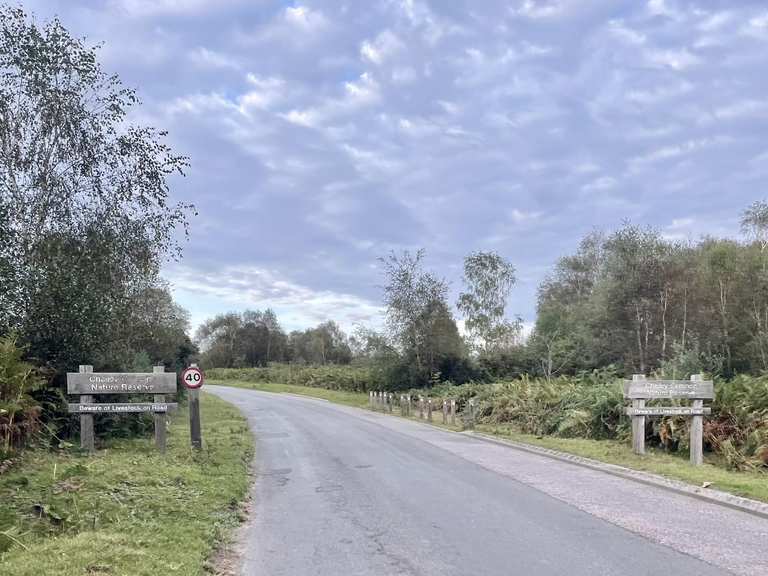 Chailey Common Naturreservat: Rennradfahren und Rennradtouren | komoot