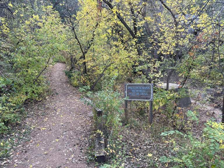 Intemann Trail: Abschnitt Pine Valley Nature Trail - Manitou Springs ...