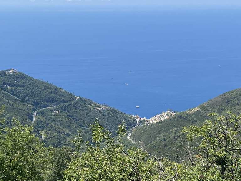 Sentiero del Crinale – Parco Nazionale delle Cinque Terre | corsa | komoot