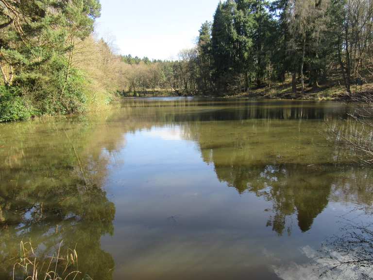 Boucle du Higher Fish Pond et du Lower Fish Pond depuis le parking ...