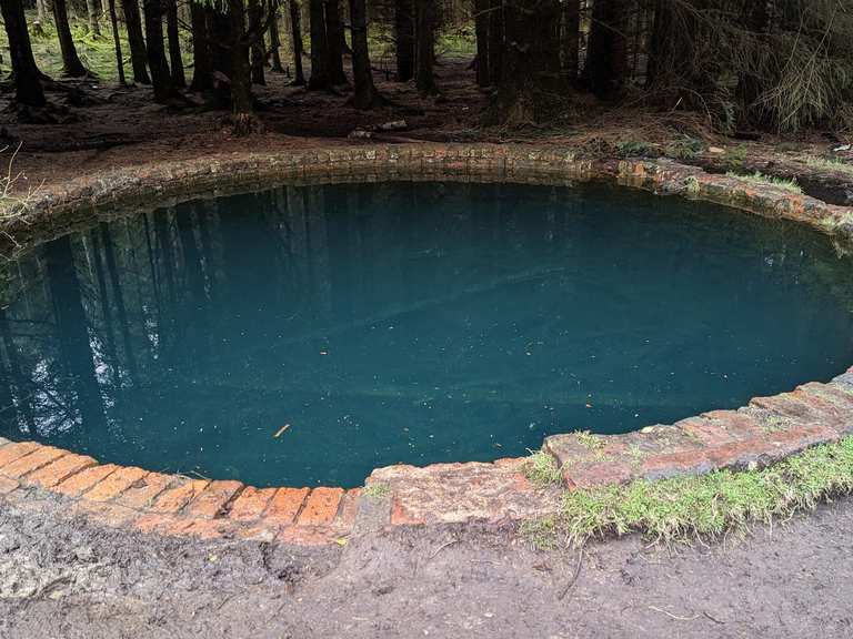 Torwood Blue Pool - Routes for Walking and Hiking | Komoot
