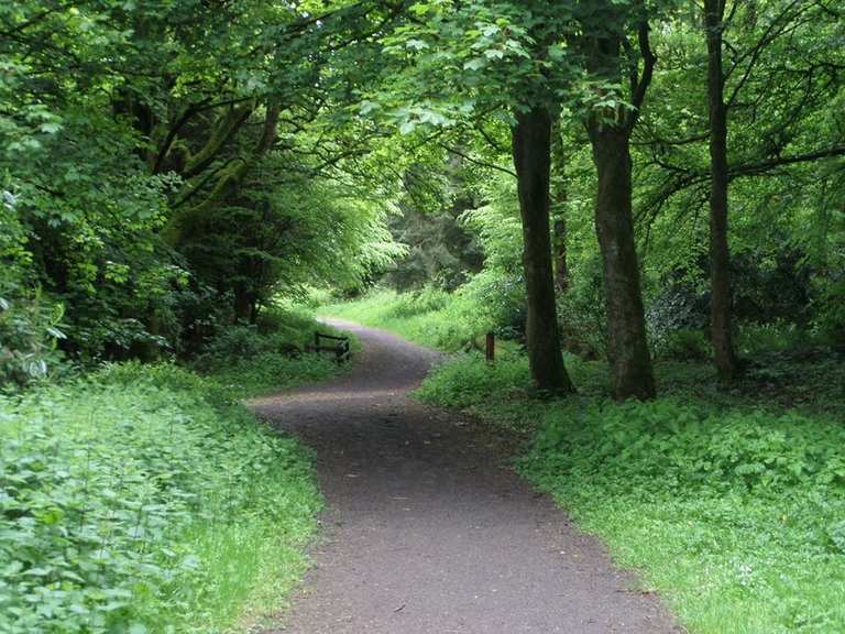 Paseo por el bosque de Learmount vía el castillo de Learmount ...