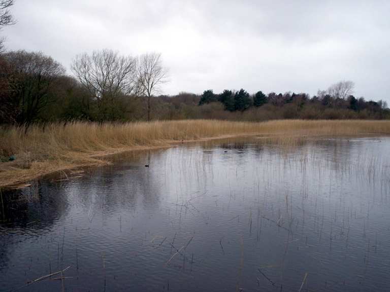 Reserva Natural Nacional de Oxford Island: Rutas y mapas | Komoot