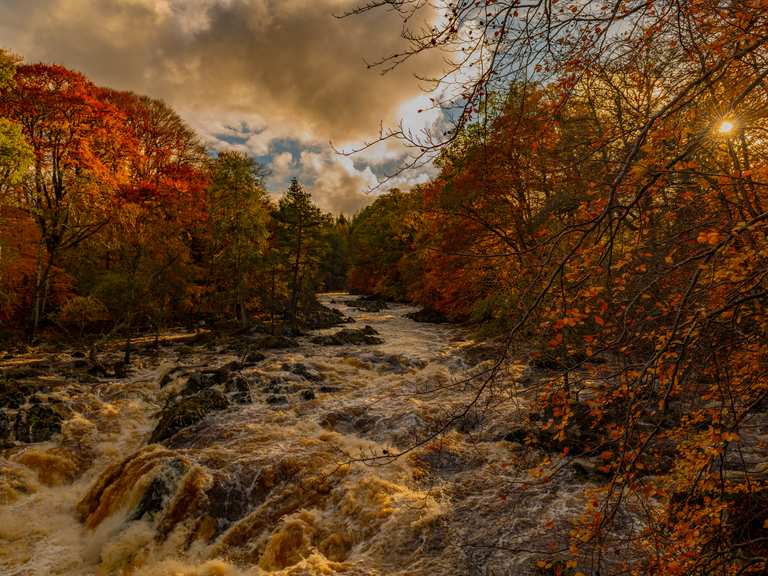 Knock Wood, Blackhall Forest and River Dee loop | mountain bike ride ...