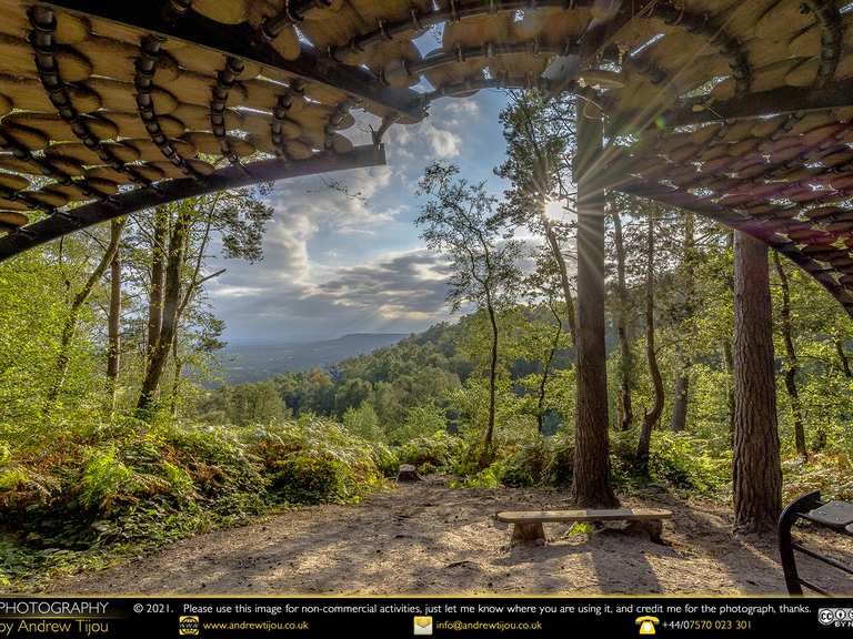 Winterfold Wood & Reynards Hill Viewpoint loop — Surrey Hills | hike ...