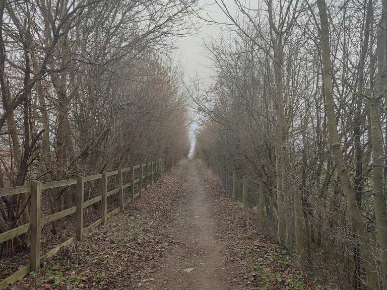 Shenley Park: Wanderungen und Rundwege | komoot