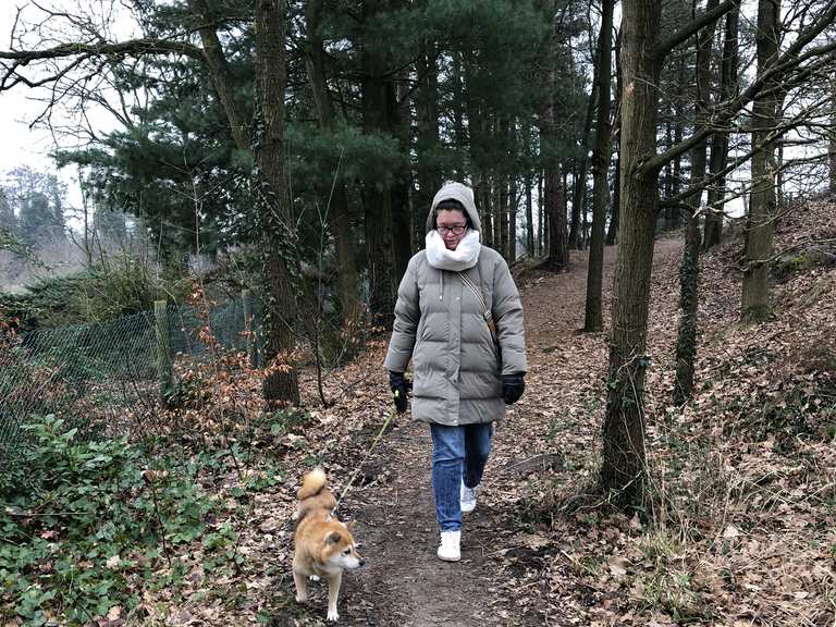 Beerzelberg wandelroutes en hikes | Komoot