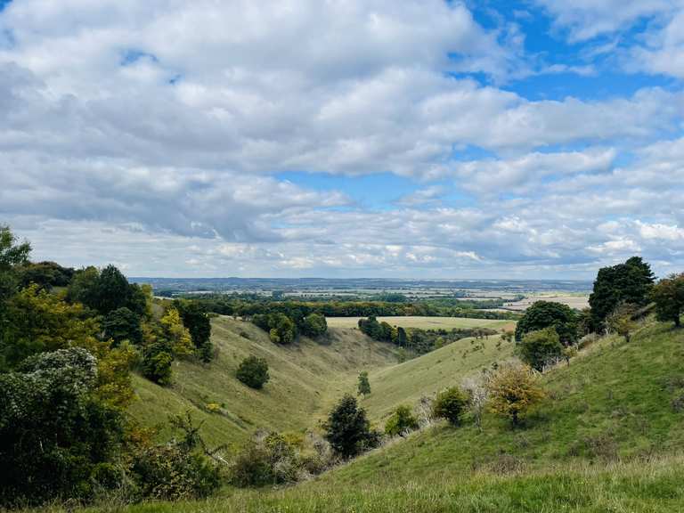 Deacon Hill and Noon Hill loop from Hexton Road Car Park — Chiltern ...