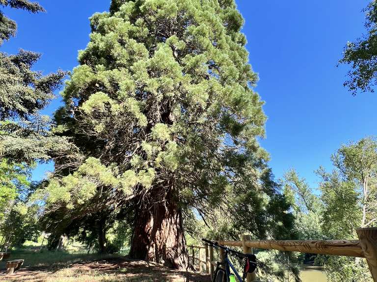 Sardón del Duero, Canal del Duero: Mountainbike-Touren und -Trails | komoot