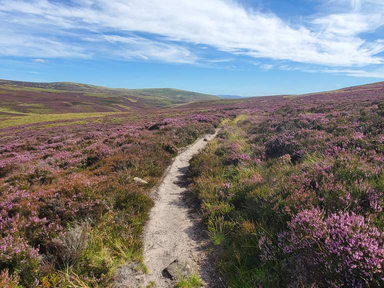 Hike in the footsteps of history – Cross Borders Drove Road | Hiking ...