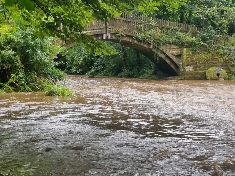 Goit Stock Falls – Beckfoot Bridge loop from Bingley | hike | Komoot
