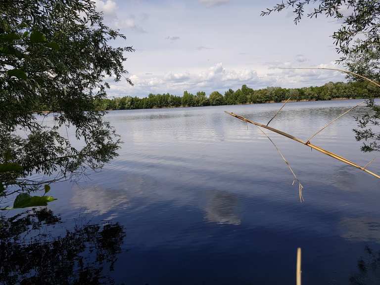 Riedsee : Radtouren und Radwege | komoot