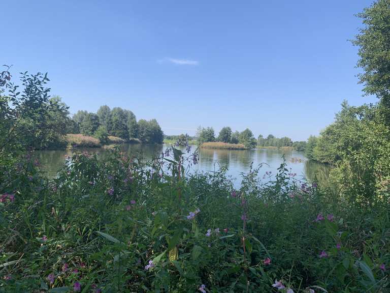 Flossinger See : Radtouren und Radwege | komoot