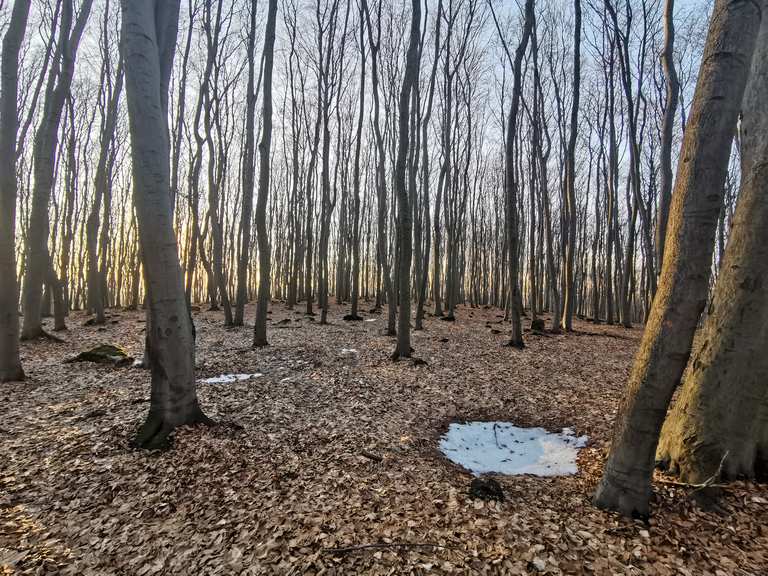 MEGALITY z Bukowej Góry : Radtouren und Radwege | komoot