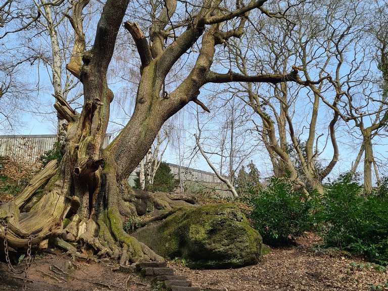 The Legendary Chained Oak Routes for Walking and Hiking | Komoot
