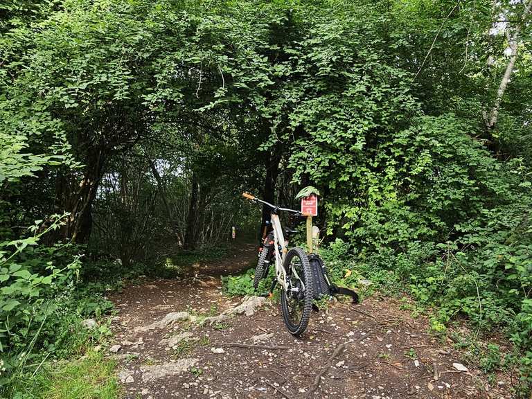 Cobra Trail: Mountainbike-Touren | komoot