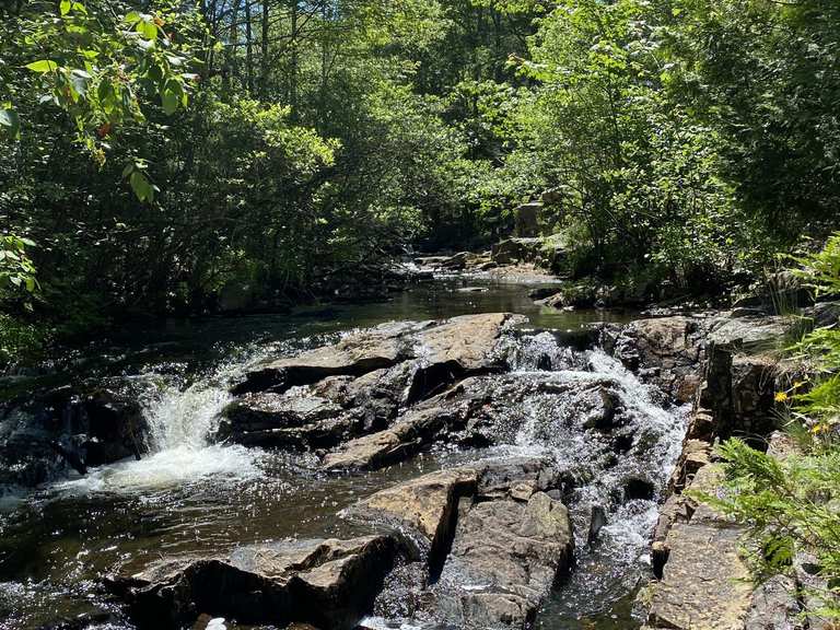 Witch Hole Pond, Eagle Lake et Duck Brook Falls Figure-8 — Gravel ...