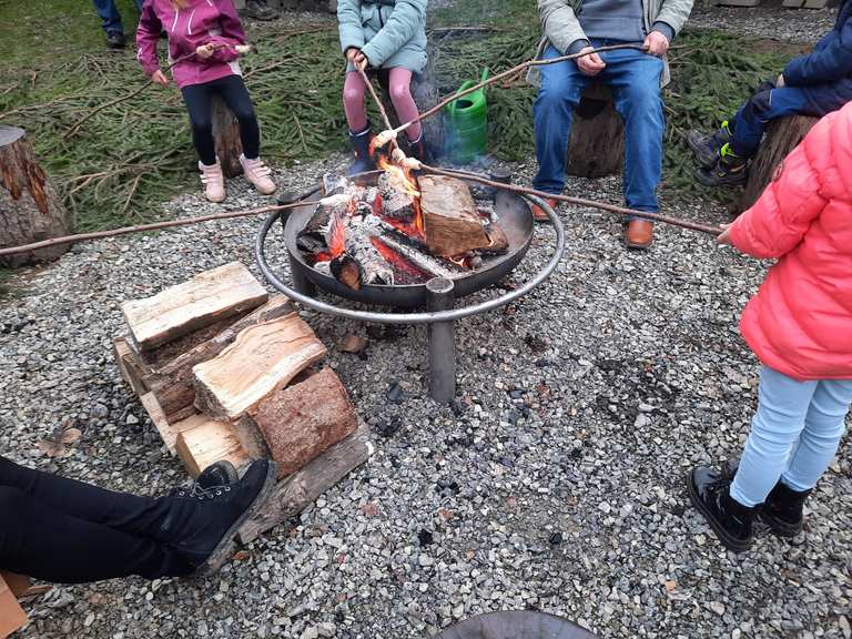 Wagenburg Solling: Mountainbike-Touren und -Trails | komoot