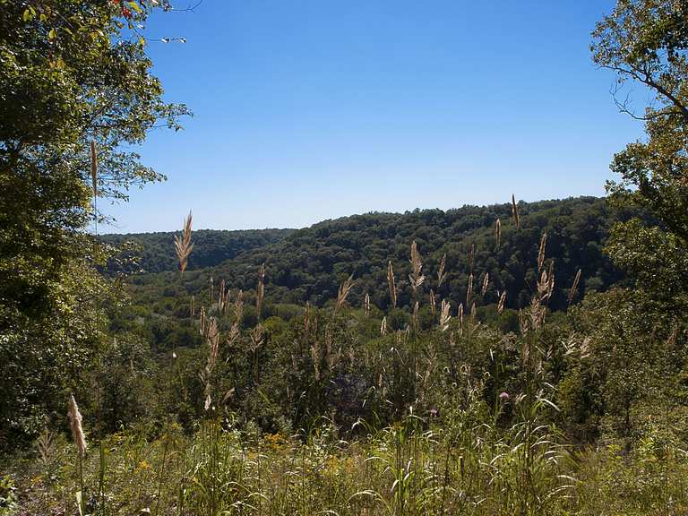 Echo River Springs & Sinkhole Trail Loop — Mammoth Cave National Park ...