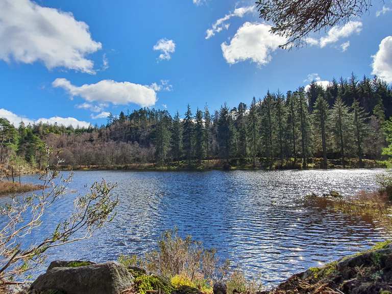 Loch Ard & Rob Roy’s Cave loop from Milton — Loch Lomond & the ...
