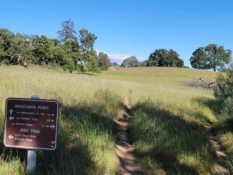 Forest, Spring & Corral trails loop — Henry W. Coe State Park | hike ...