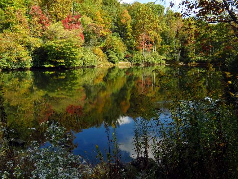 Green Knob Trail loop — Julian Price Memorial Park | hike | Komoot