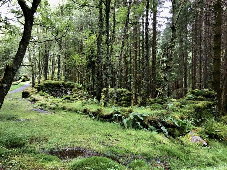 Rowchoish Bothy Routes for Walking and Hiking | Komoot