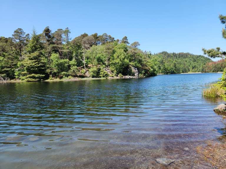 Llyn y Parc Routes for Walking and Hiking | Komoot