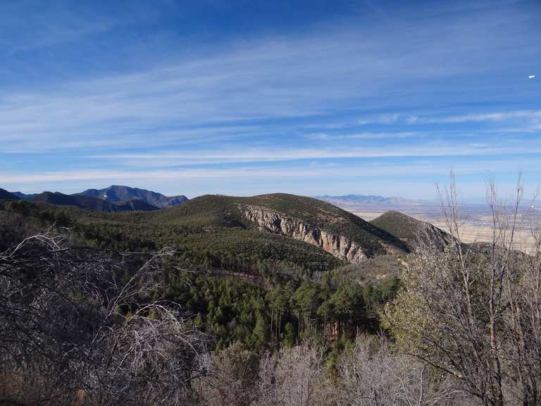 Carr Peak via Old Saw Mill Trail in Miller Peak Wilderness — Coronado ...