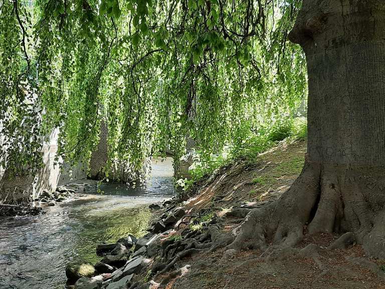 Rivier De Jeker: Wanderungen und Rundwege | komoot