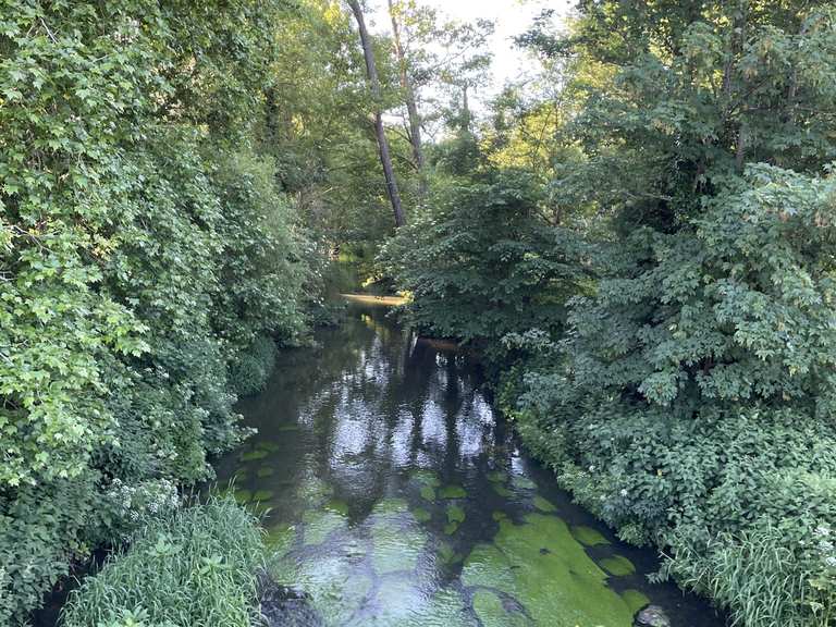 River mole Routes for Walking and Hiking | Komoot