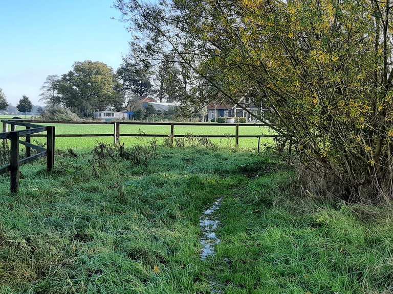 Caminhada pelo vinho pelo campo - 20x degustação em Gelderland ...