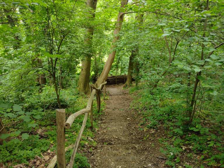 Trap in/uit bos Routes for Walking and Hiking | Komoot