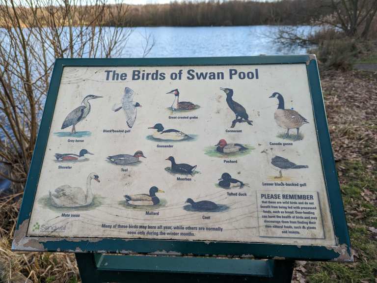Swan Pool at Sandwell Valley Country Park - Cycle Routes and Map | Komoot
