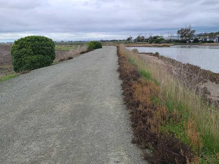Coyote Creek Lagoon Schleife — Don Edwards San Francisco Bay National ...