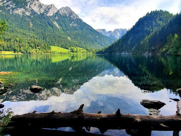 Waldweg am Hintersteiner See – Hintersteiner See loop from Feldberg | hike | Komoot