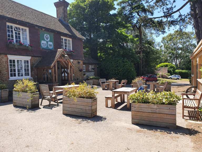 Boucle de Witley Park depuis Thursley sur le Greensand Way — Surrey ...