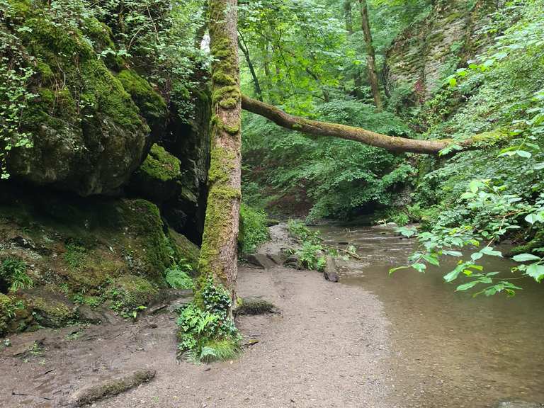 Ehrbachklamm - wandelroutes en hikes | Komoot